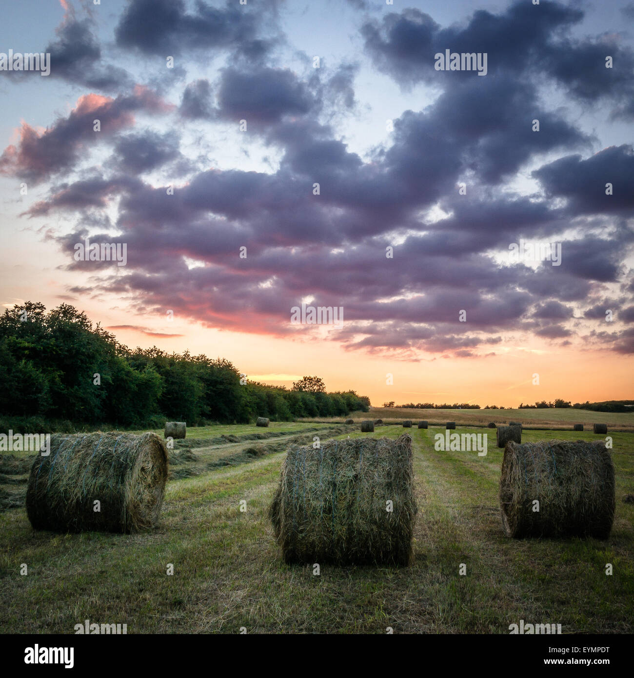 Hay bales sunset Stock Photo - Alamy