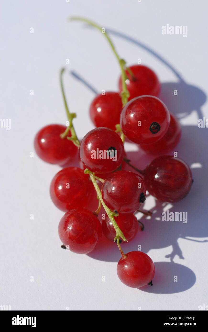 Red currants uk hi-res stock photography and images - Alamy