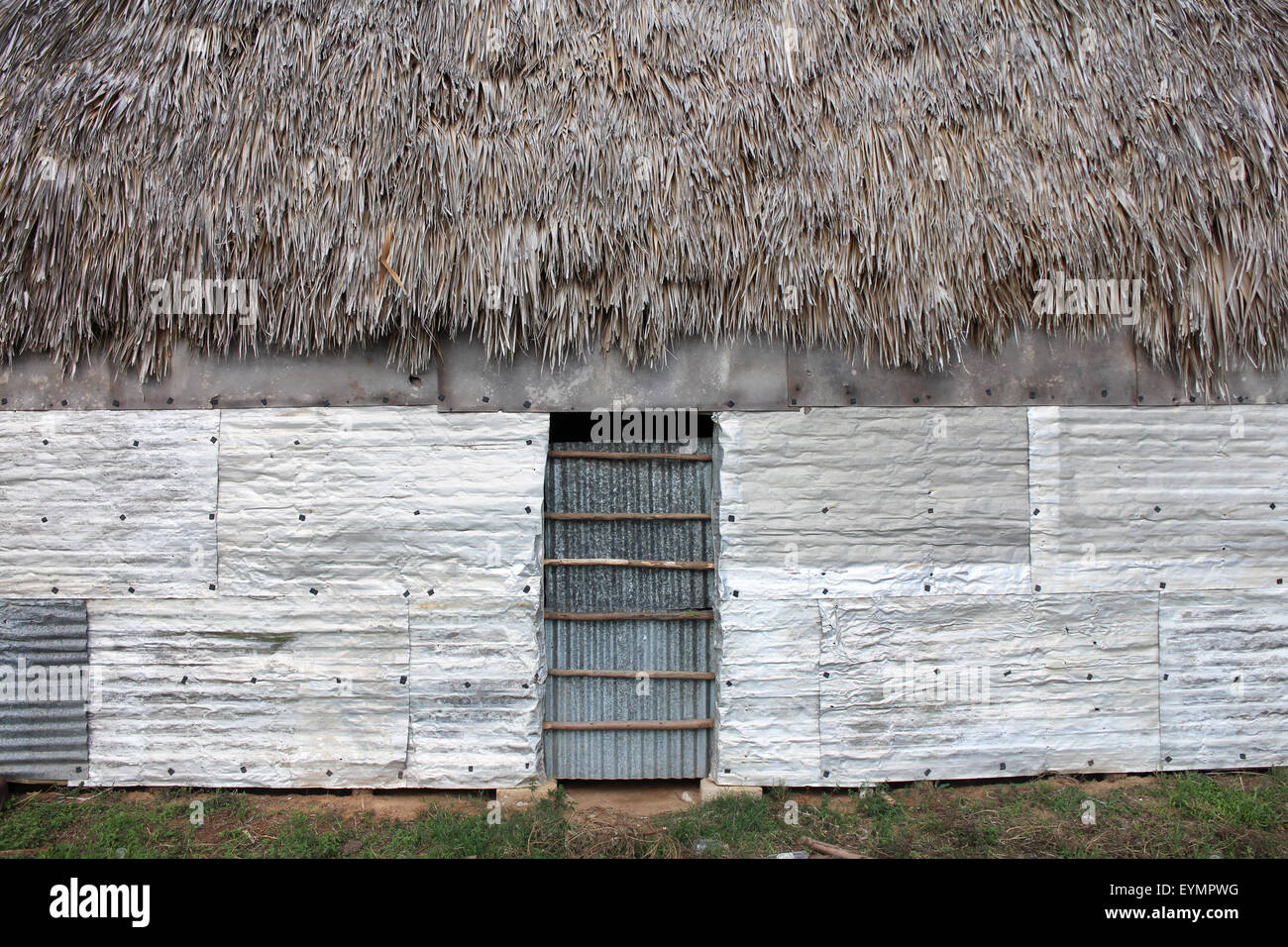 Cuba, tobacco plantation and thatched rural huts in Vinales National ...