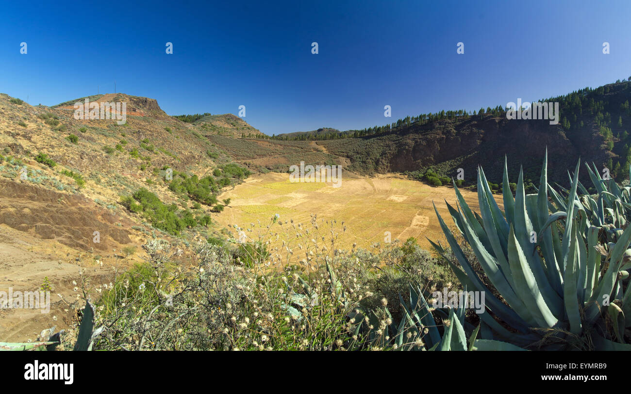 Gran Canaria, Caldera de los Marteles, volcanic caldera with dry fields ...