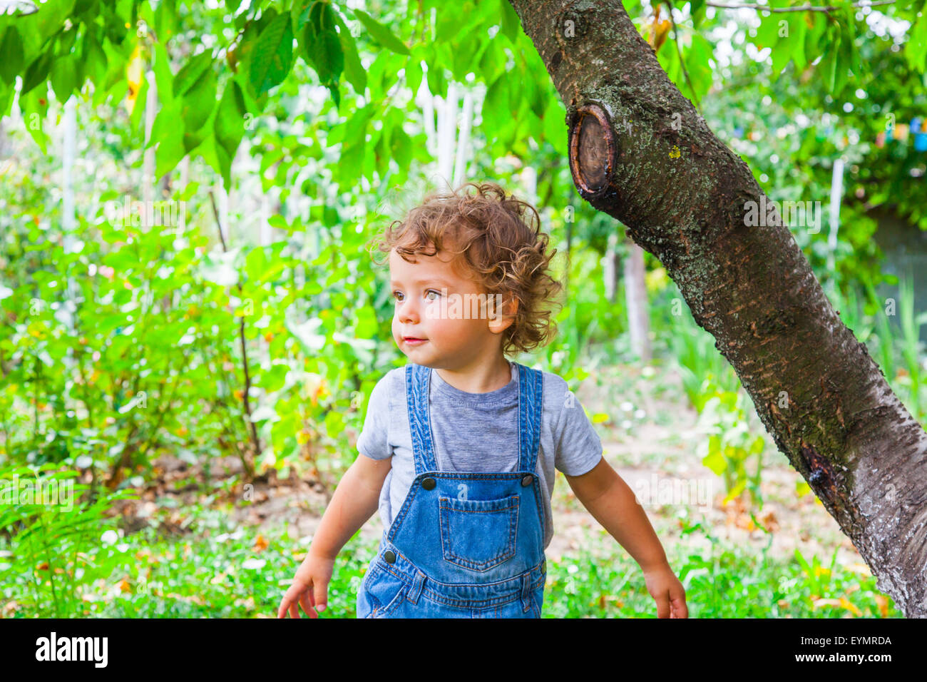 Portrait of 1 year old baby boy in the garden under a cherry tree Stock ...