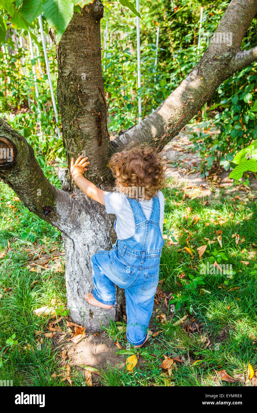 Portrait of 1 year old baby boy trying to climb a cherry tree Stock ...