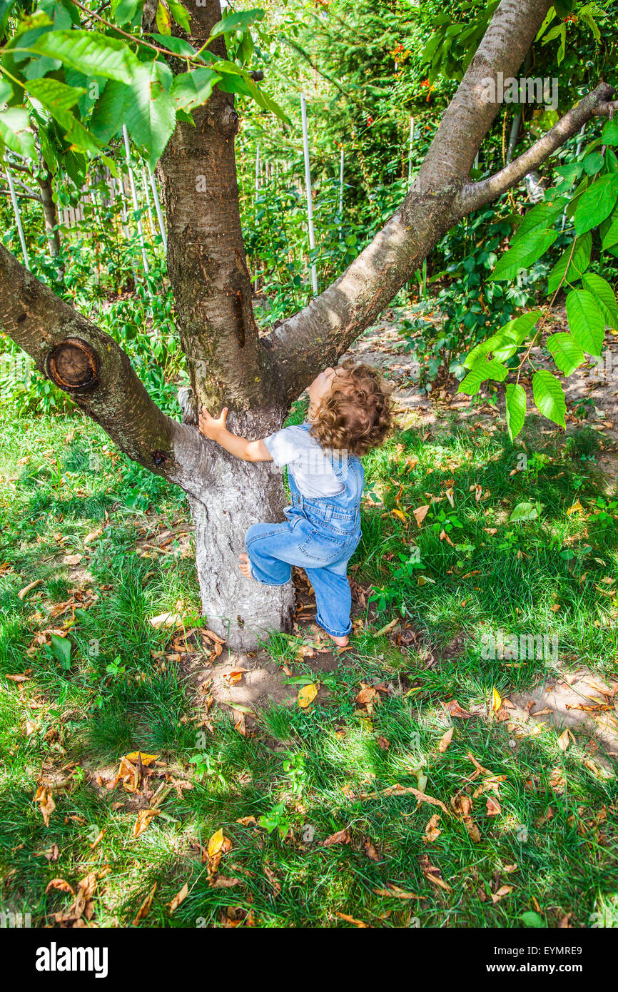 Child climbing tree hugging tree hi-res stock photography and images ...