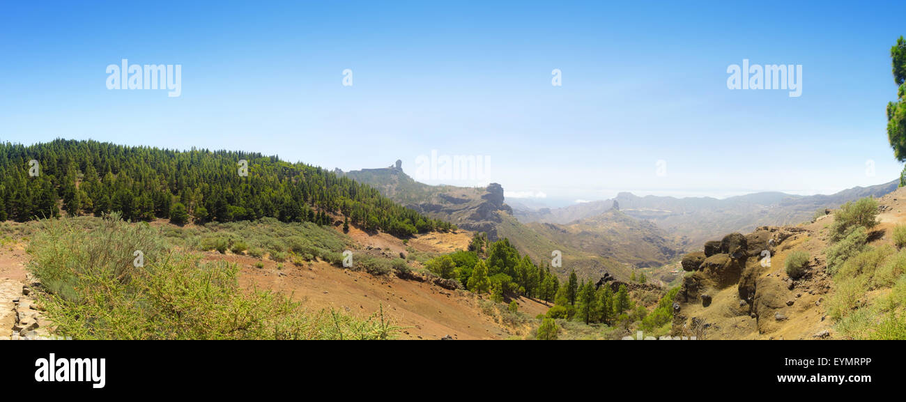 Inland Central Gran Canaria, Caldera de Tejeda, Canarian Pine Trees and ...