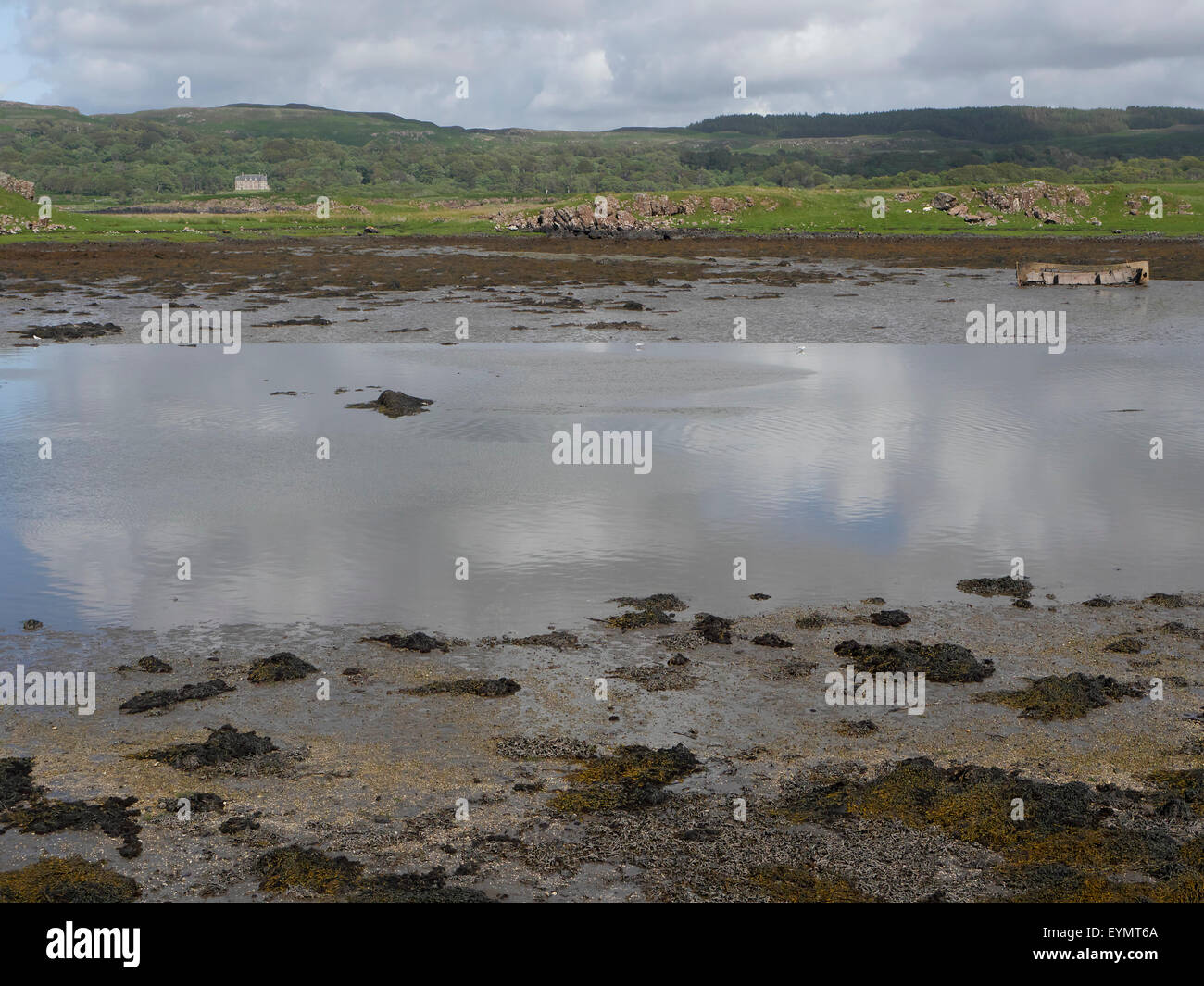 Croig estuary, Isle of Mull, Scotland, July 2015 Stock Photo - Alamy