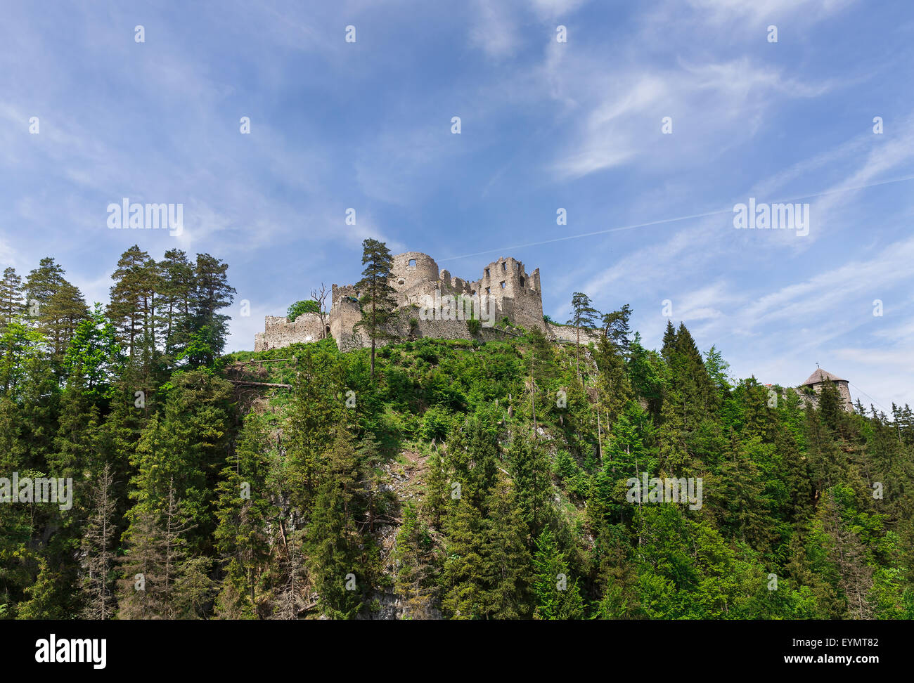 suspension bridge and castle ruins Ehrenberg Stock Photo - Alamy