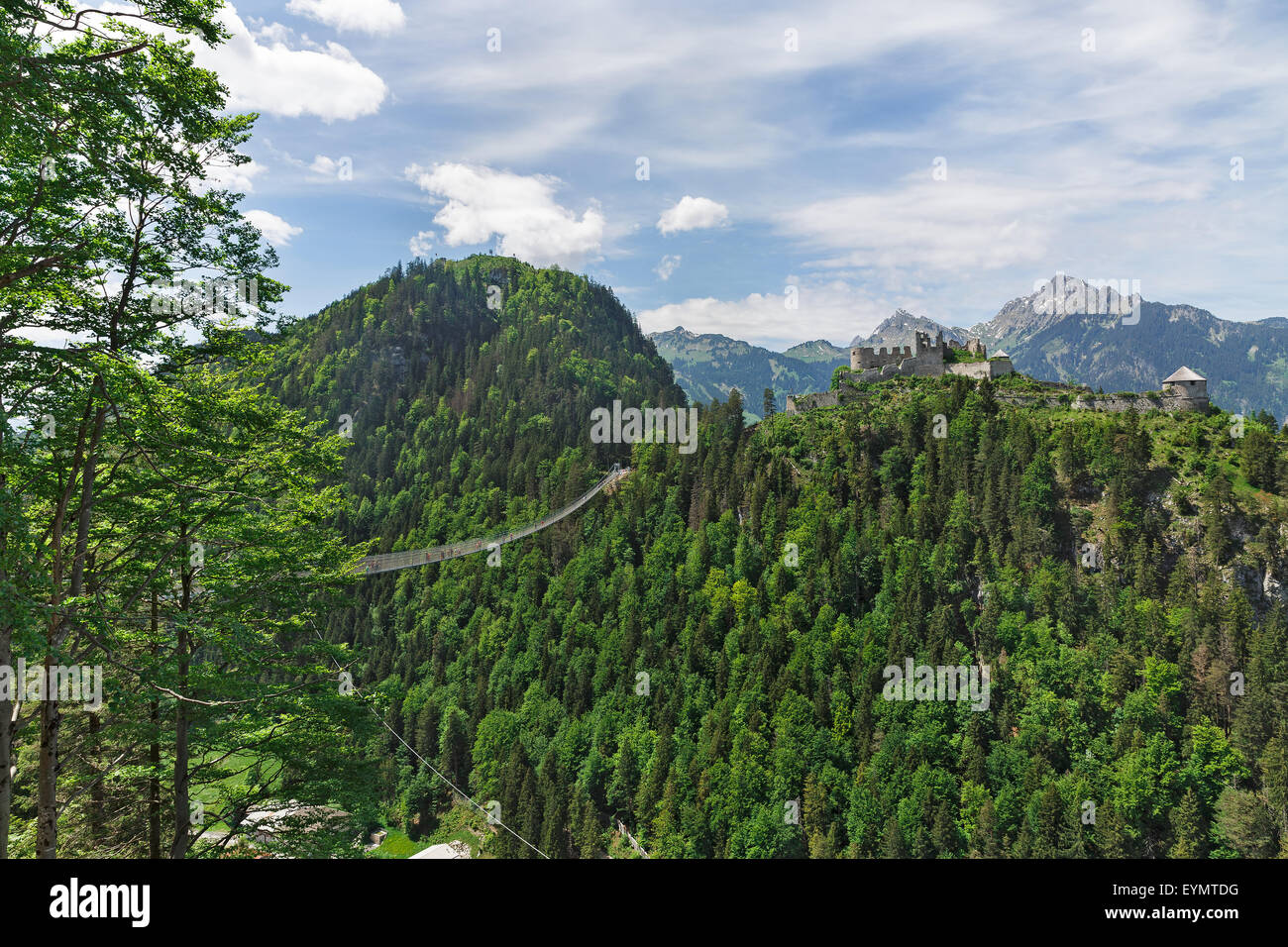 suspension bridge and castle ruins Ehrenberg Stock Photo - Alamy