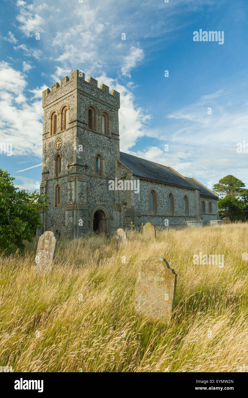 Sussex falmer hi-res stock photography and images - Alamy