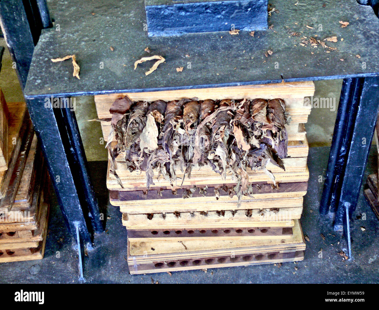 Cigar manufacturing box hi-res stock photography and images - Alamy