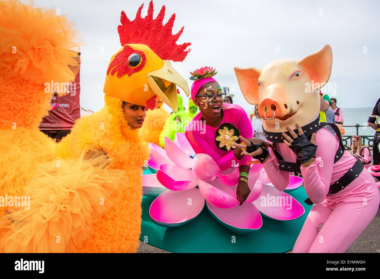 Brighton, East Sussex, UK . 01st Aug, 2015. The rainbow colours of ...