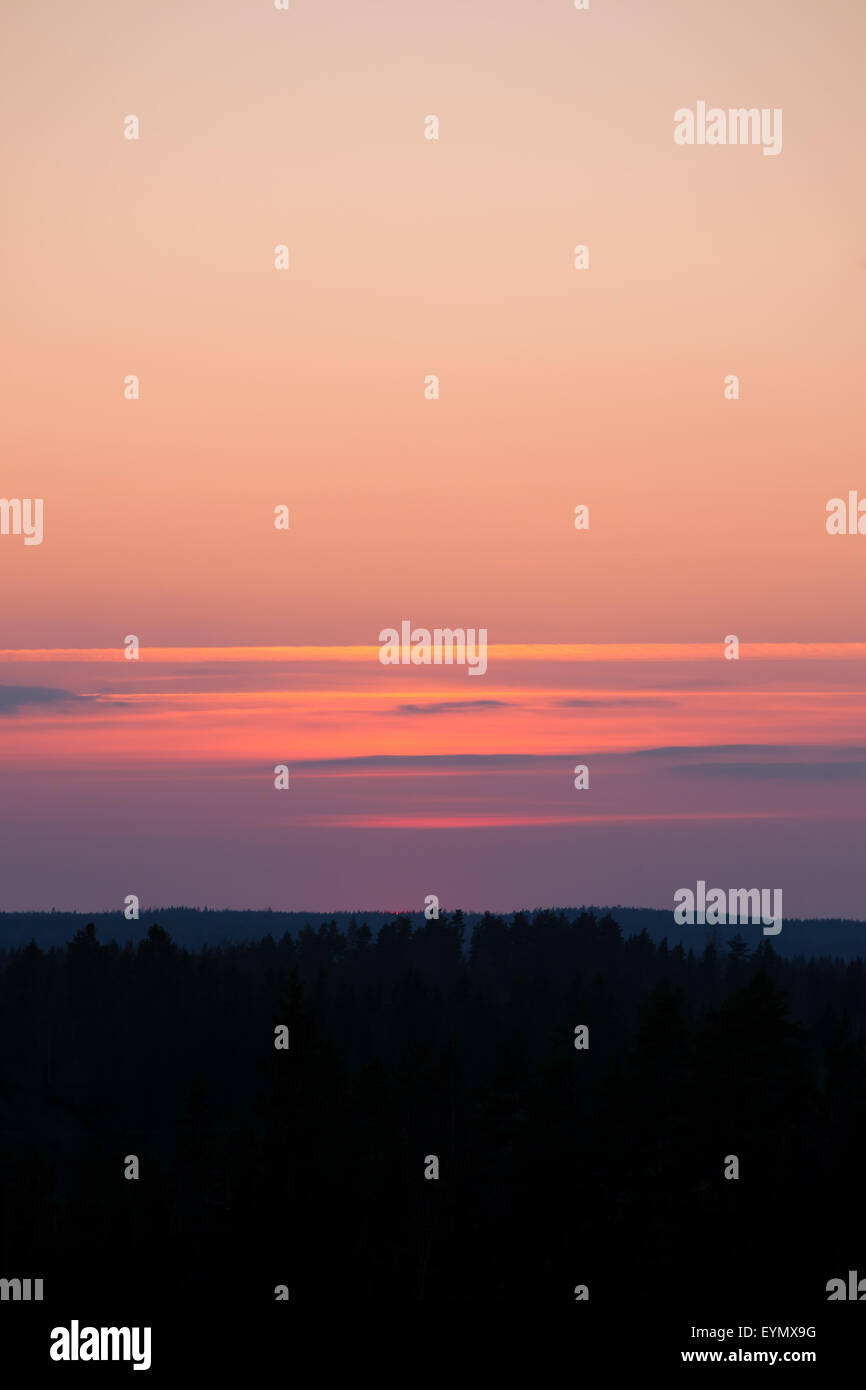 Sun setting over forest Stock Photo - Alamy
