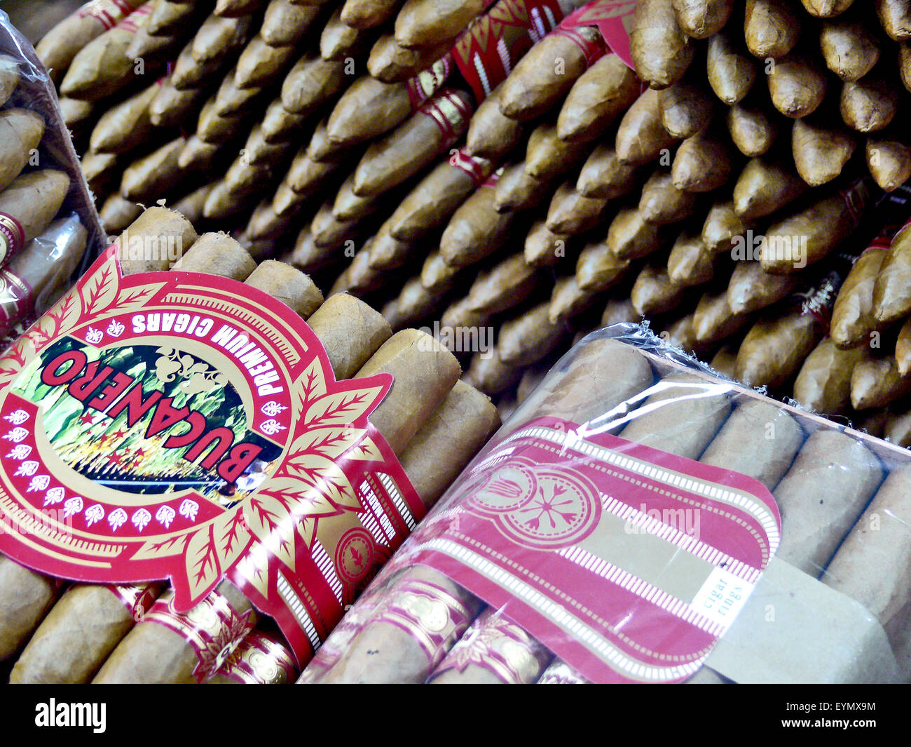 Panama, Central America, 2007. Cigars in a cigar factory Stock Photo ...
