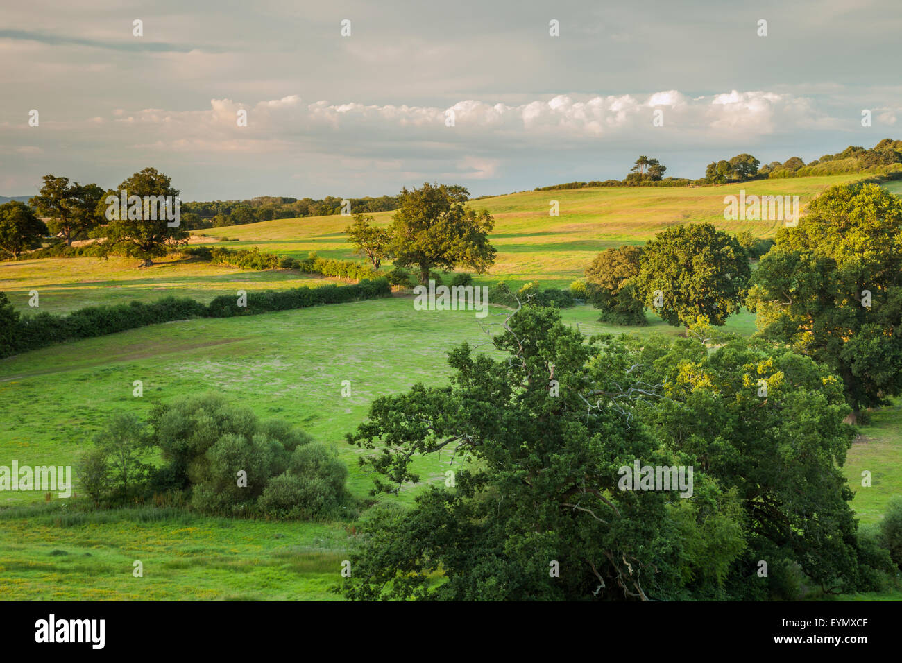 Countryside and sunset hi-res stock photography and images - Alamy