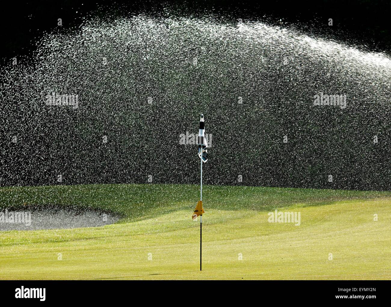A golf course green is watered with a spray of water in the sunlight ...