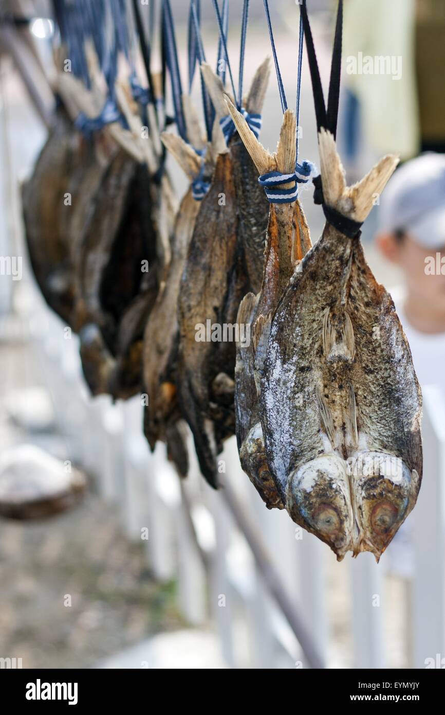 several salted fish hang on wood under sunshine producing for food ...