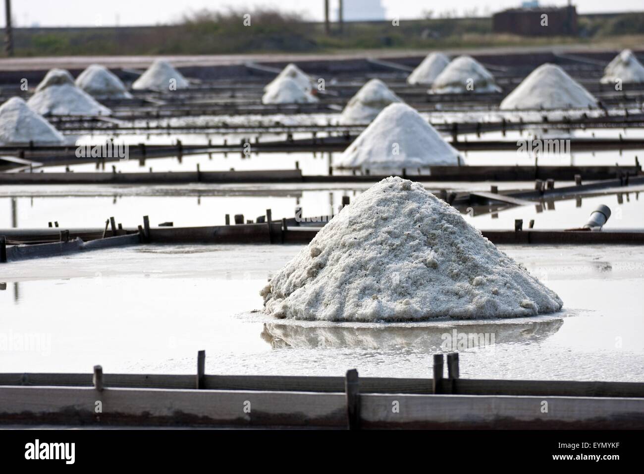 beautiful scenic of salt field in Tainan,Taiwan,Asia Stock Photo - Alamy