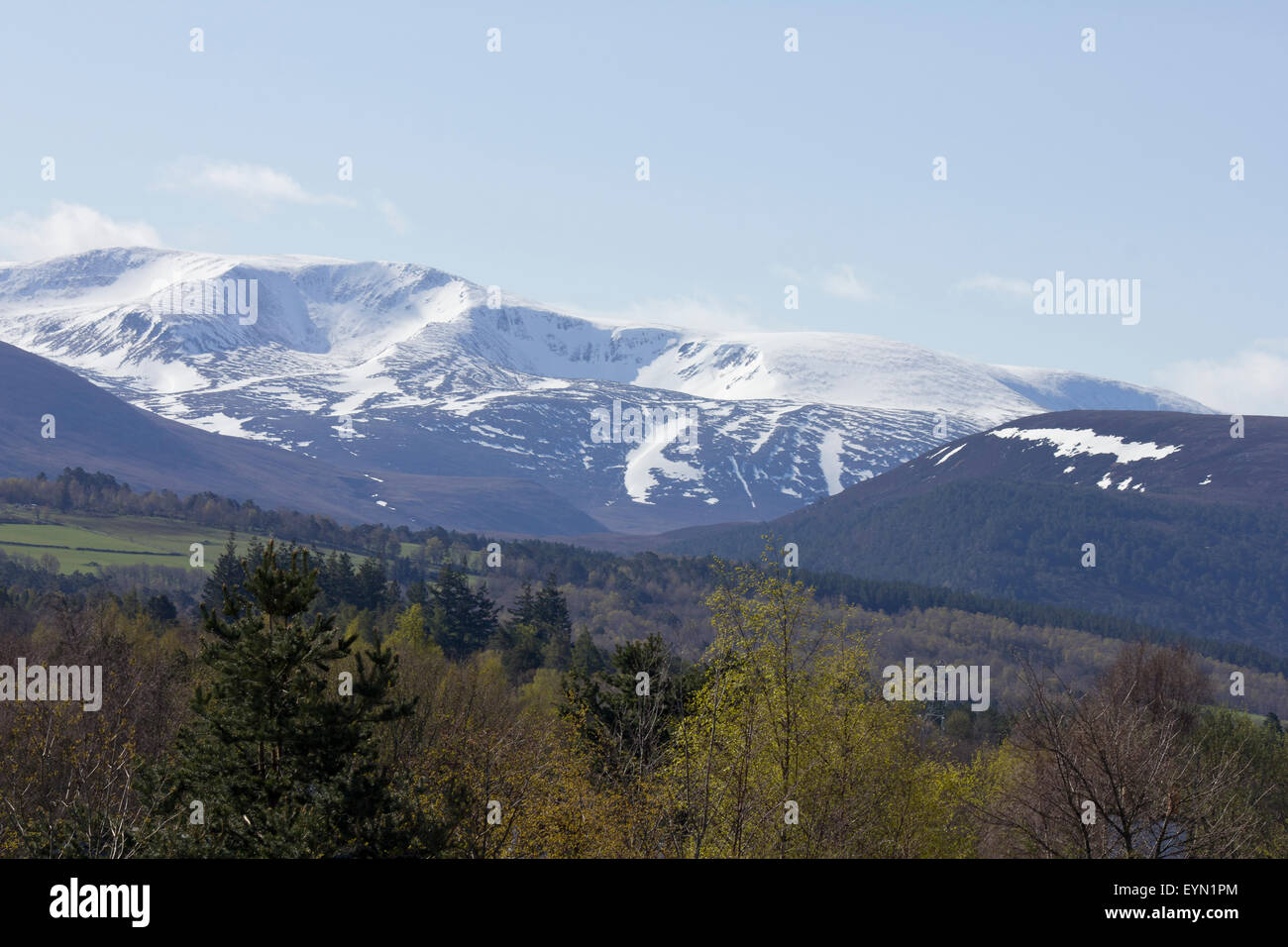 Cairngorm mountains trees hi-res stock photography and images - Alamy