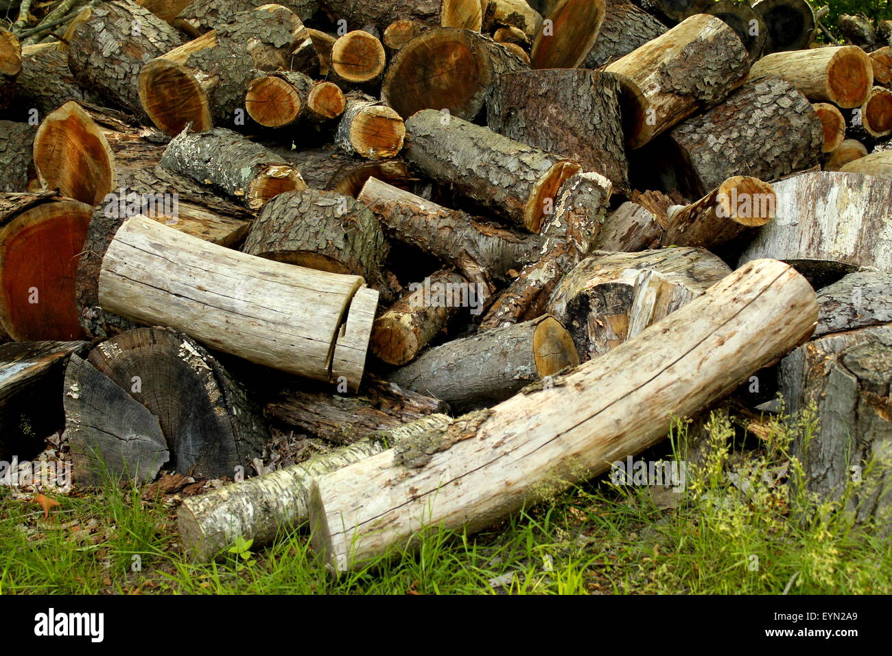 A pile of logs that will be cut and split for firewood Stock Photo - Alamy