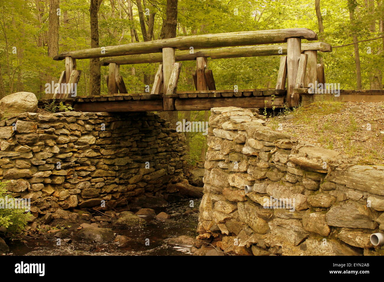A footbridge over a brook in the spring time Stock Photo - Alamy