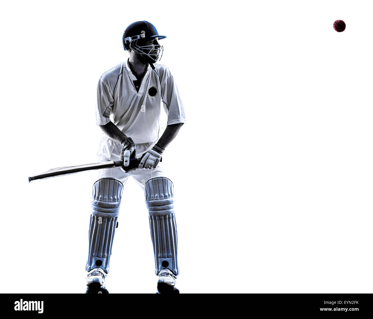 Cricket player batsman in silhouette Cut Out Stock Images & Pictures ...