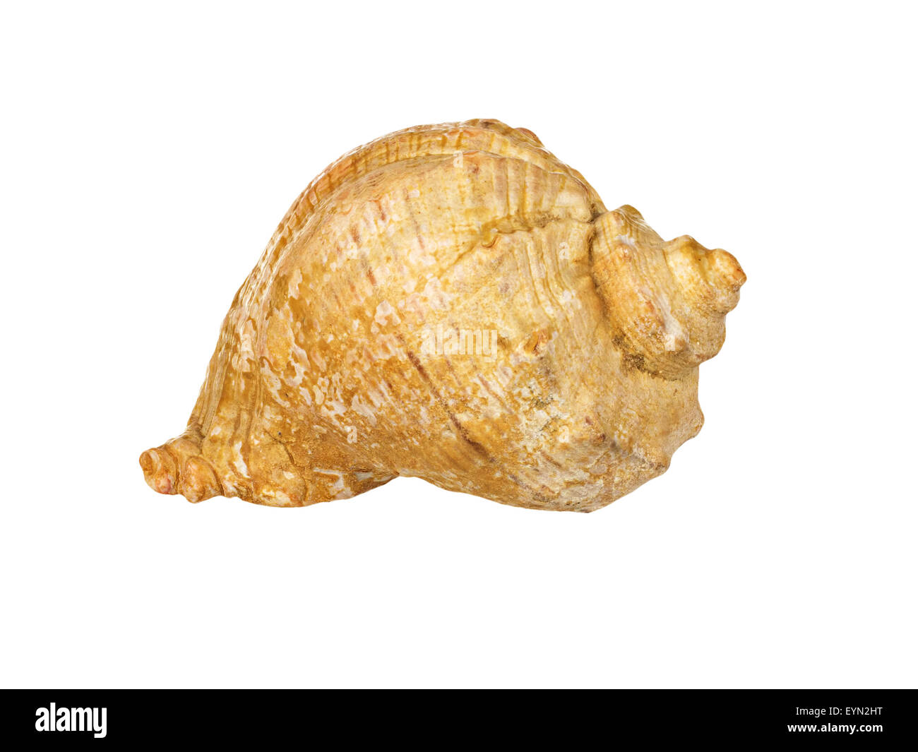 Beach sea background Cut Out Stock Images & Pictures - Alamy