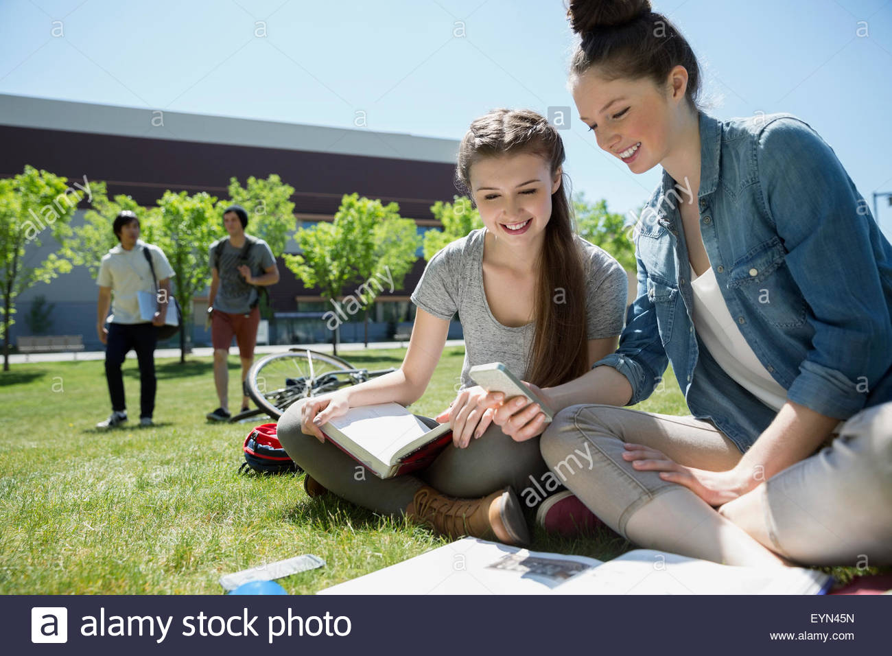 College students studying and texting sunny campus lawn Stock Photo - Alamy