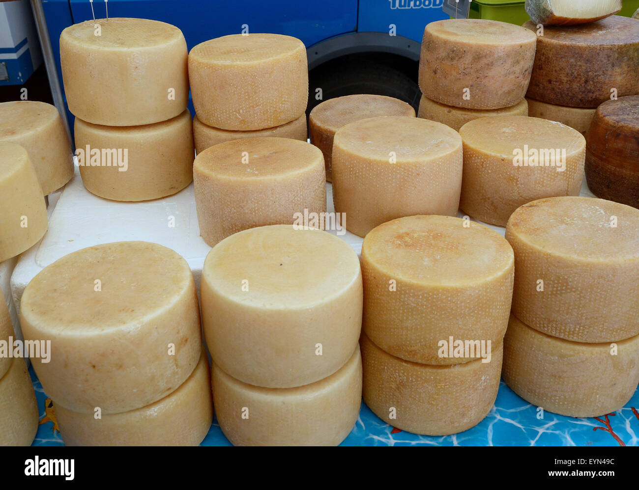 Sardinia,Italy: typical sardinian cheese Stock Photo - Alamy