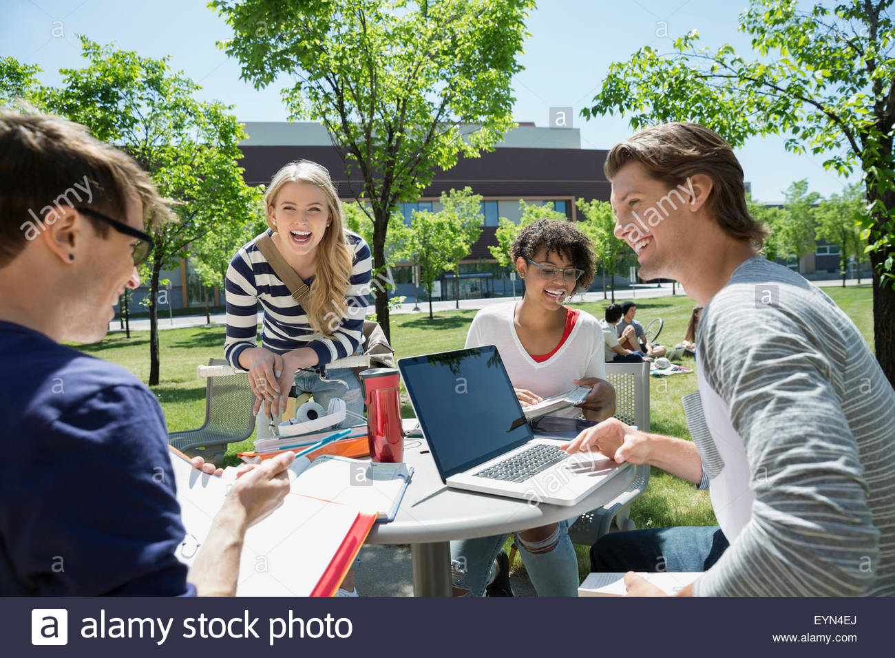 Laughing college students studying table on sunny campus Stock Photo ...