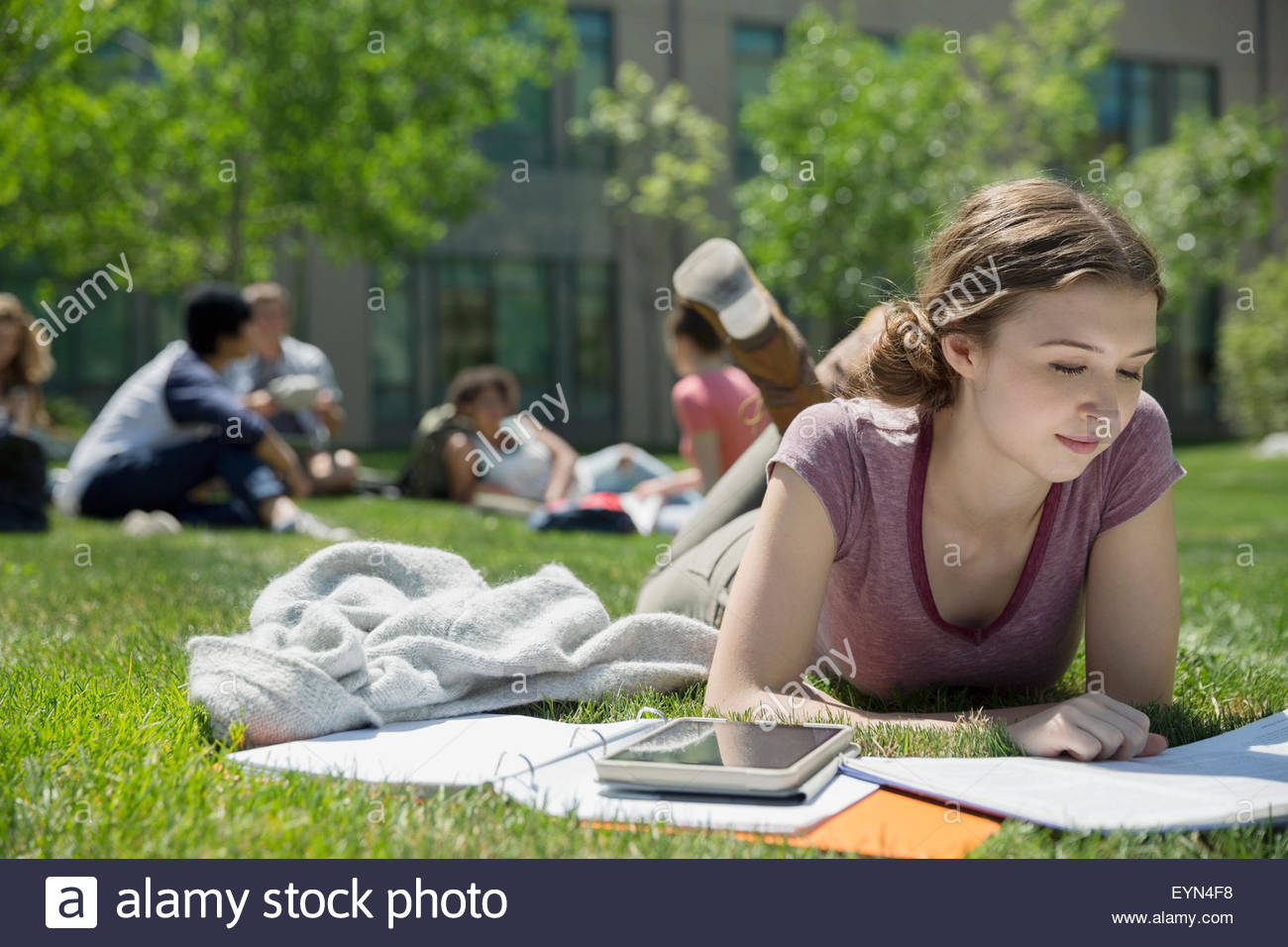 College student studying on sunny campus lawn Stock Photo - Alamy