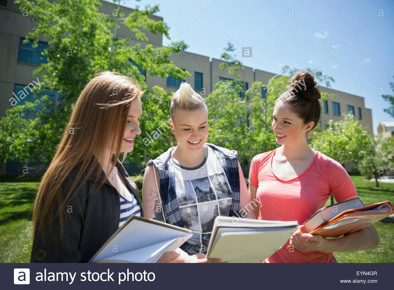 College students studying on sunny campus Stock Photo - Alamy