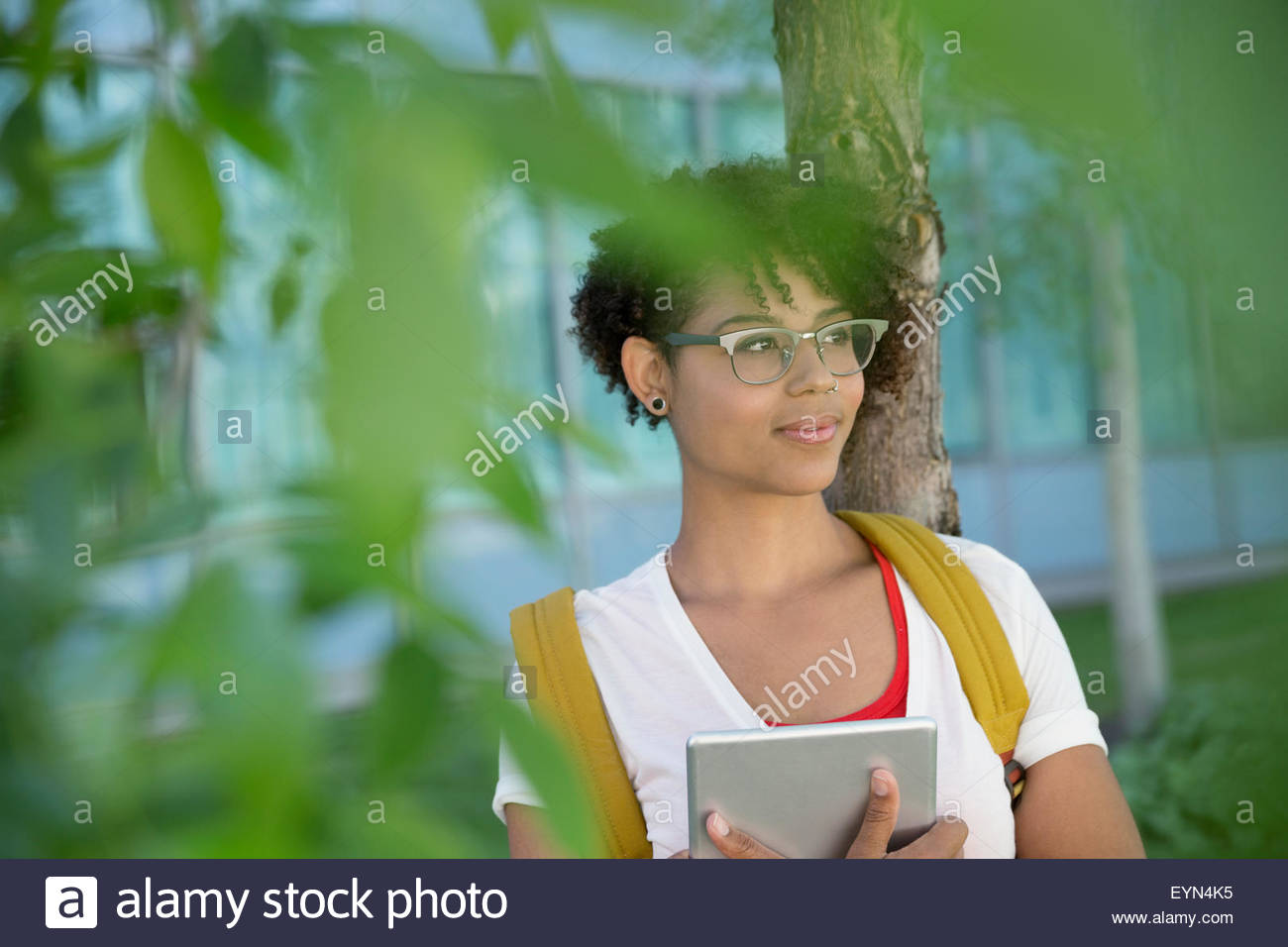 Thinking tree tree hi-res stock photography and images - Alamy