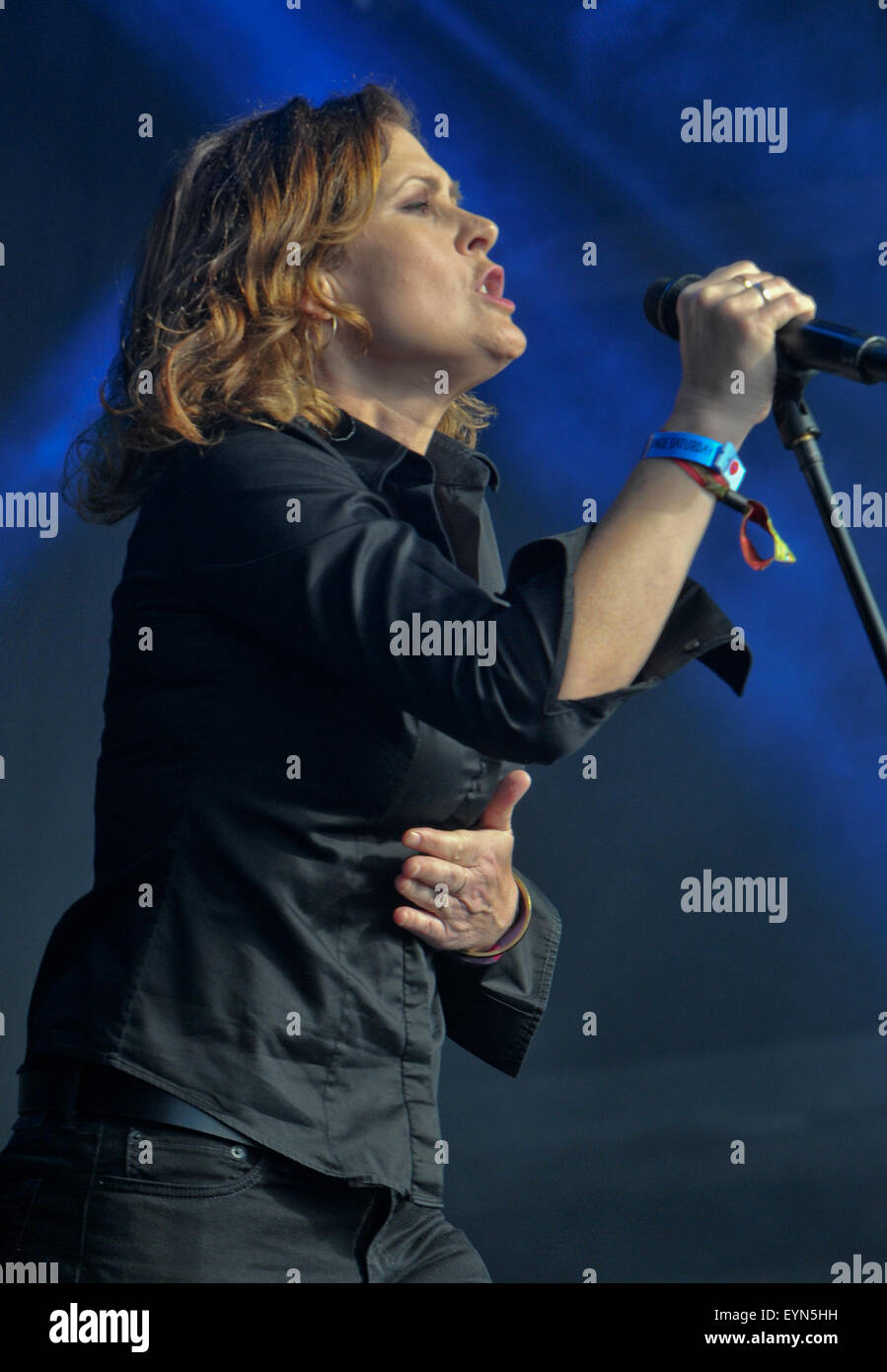 Alison castle hi-res stock photography and images - Alamy