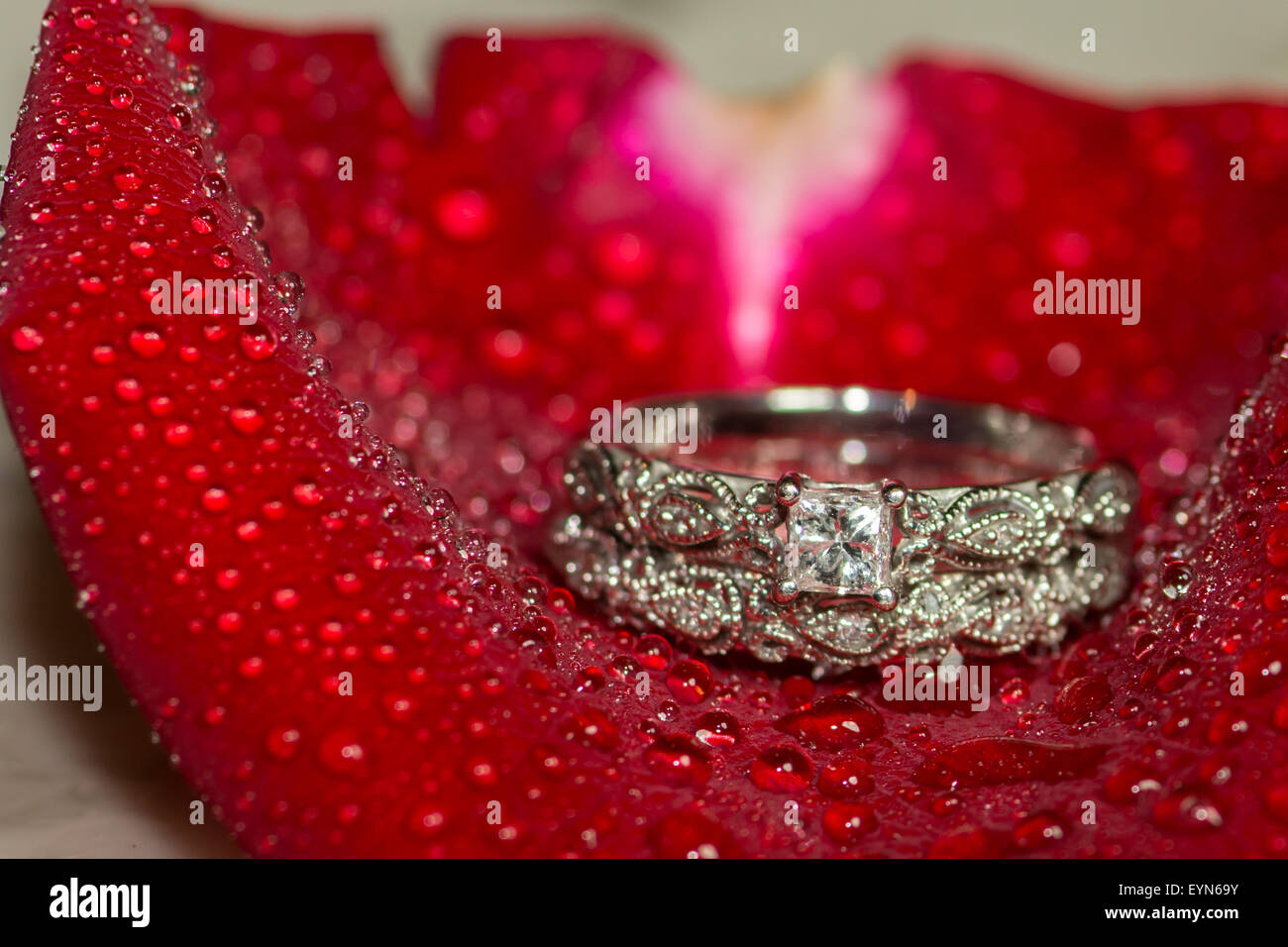 Wedding Ring and Red Roses Stock Photo - Alamy