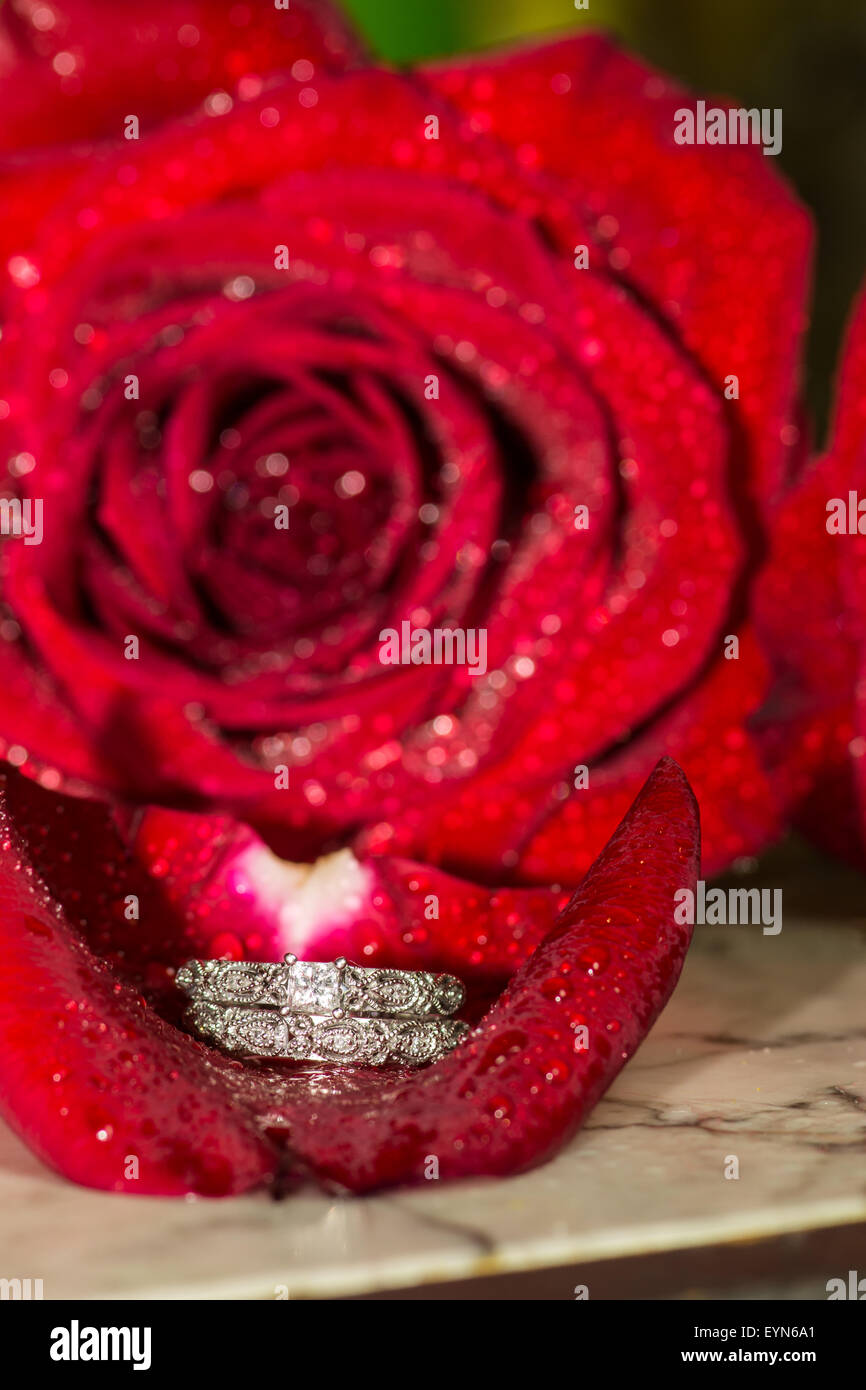 Wedding Ring and Red Roses Stock Photo - Alamy