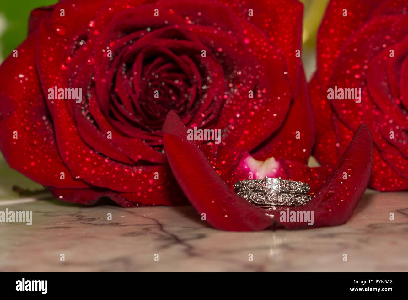 Wedding Ring and Red Roses Stock Photo - Alamy
