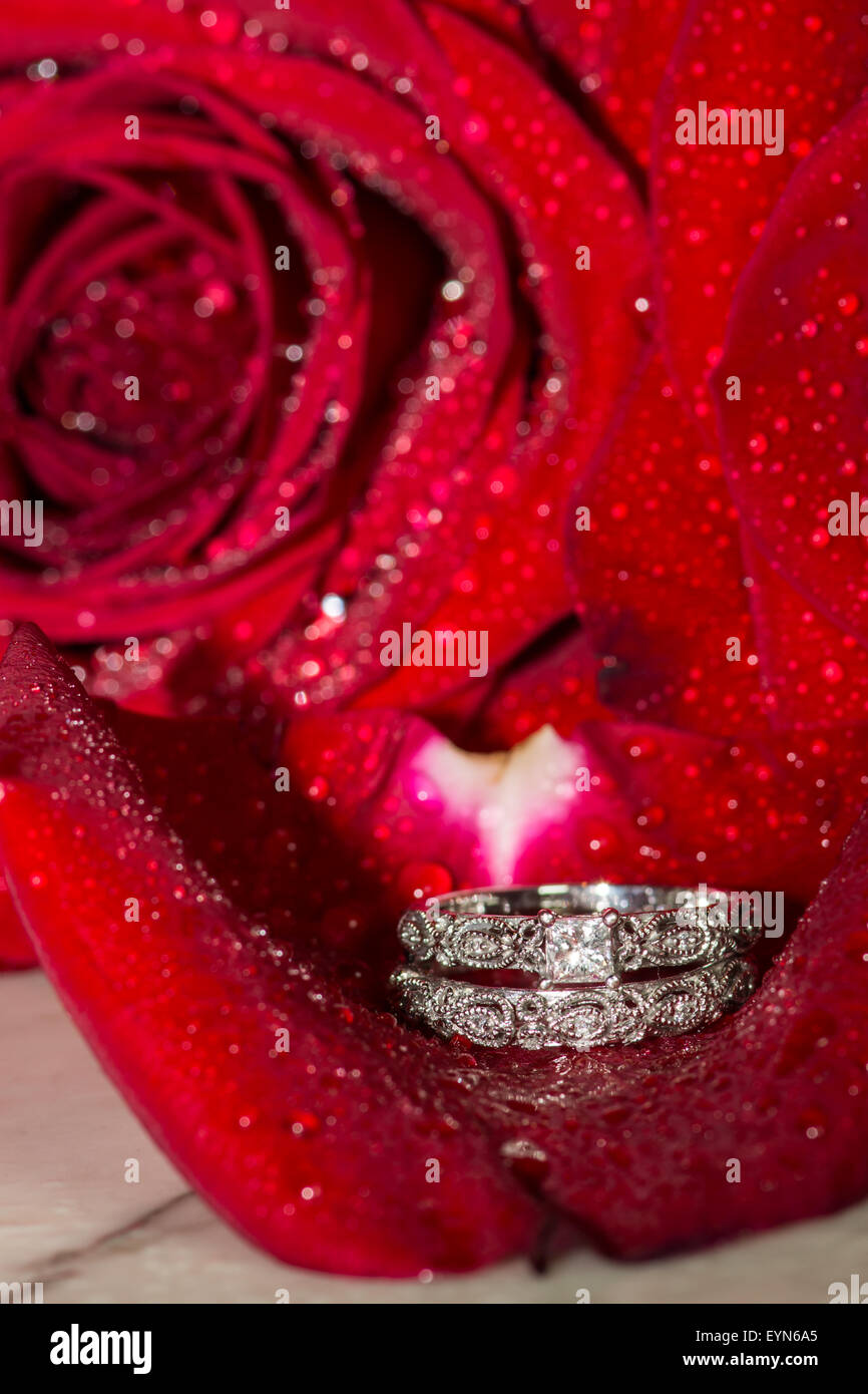 Wedding Ring and Red Roses Stock Photo - Alamy