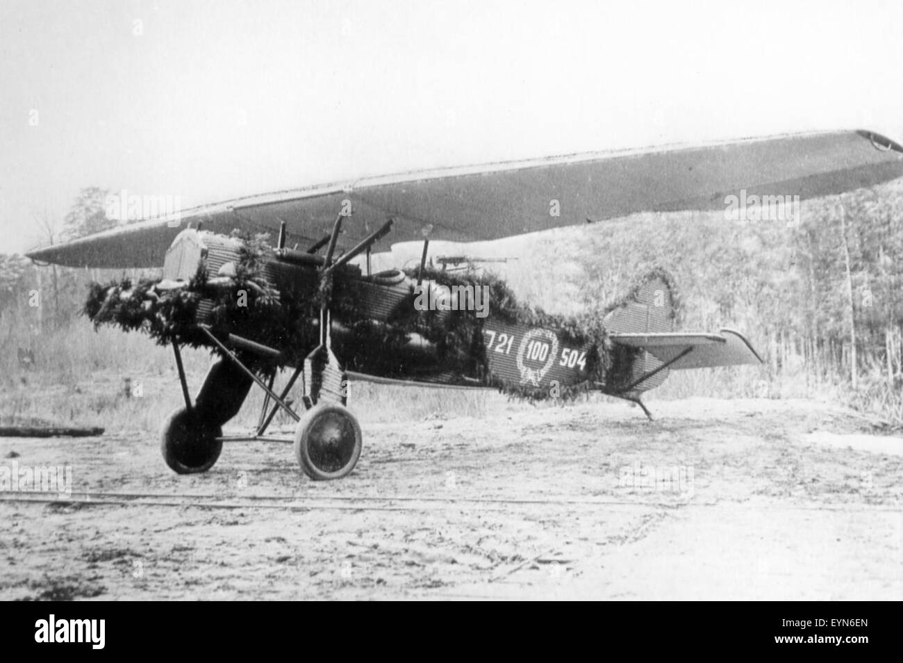 Junkers JU 21 aircraft, a German transport and reconnaissance plane ...