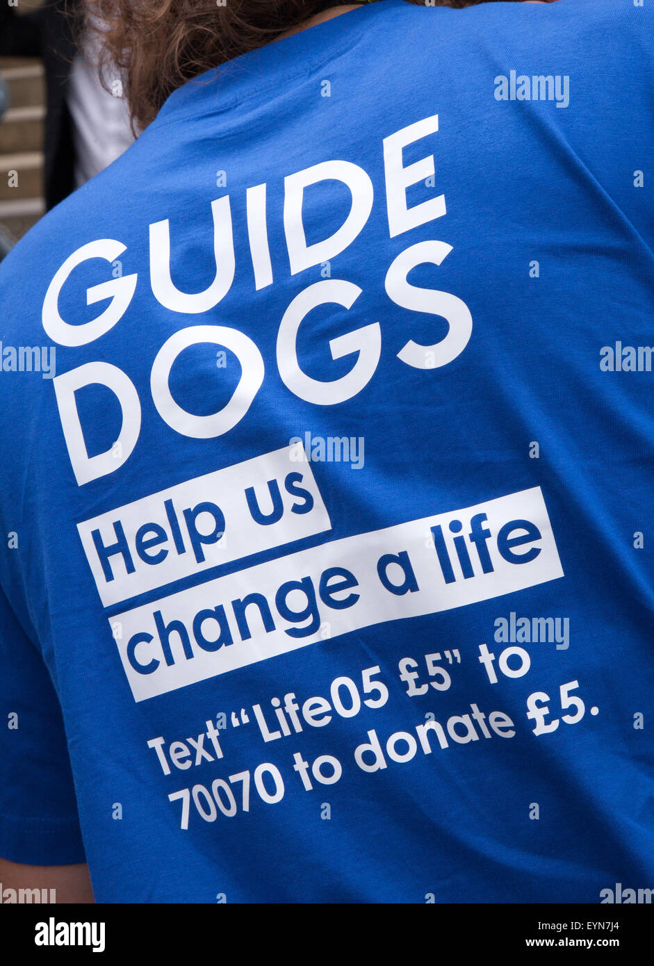 Guided Dogs Charity fundraisers on the streets of Liverpool, Merseyside ...