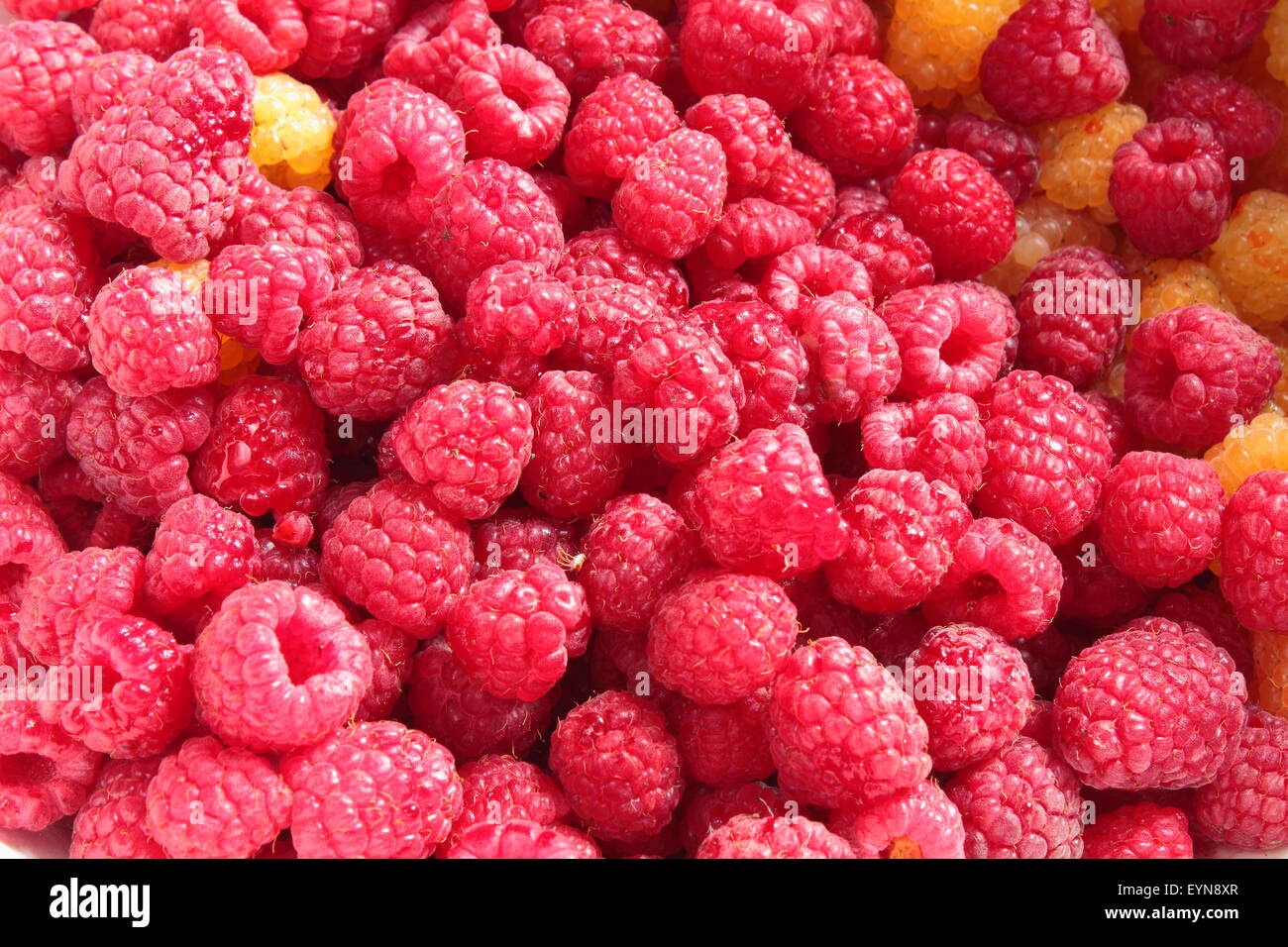 pile of raspberries Stock Photo - Alamy