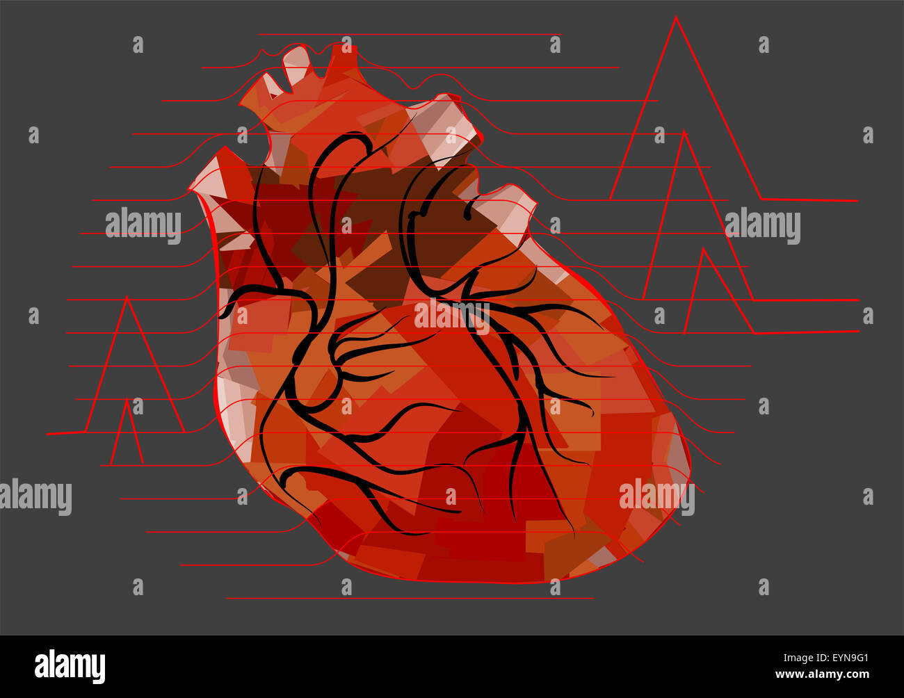 Human heart organ hi-res stock photography and images - Alamy