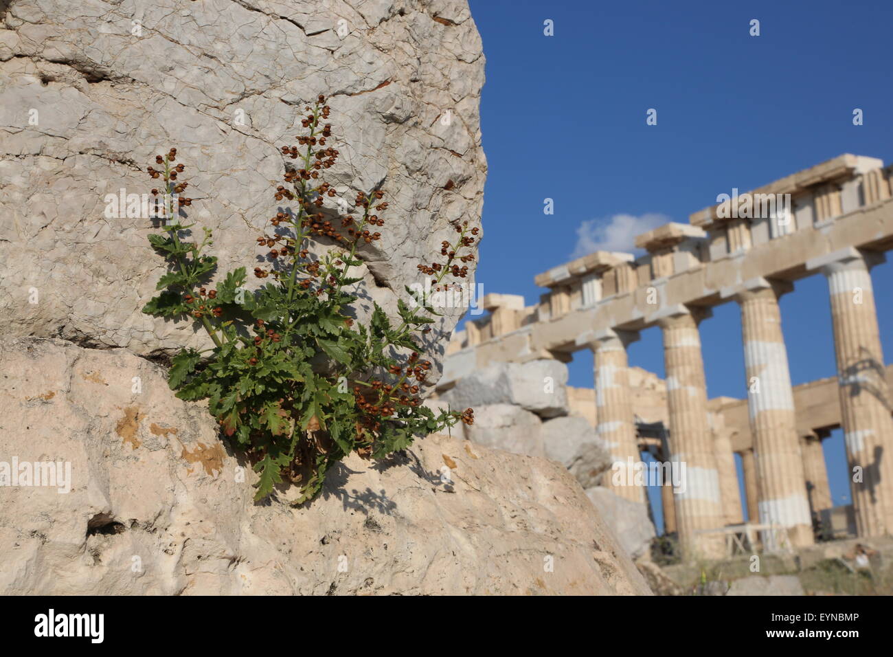 Parthenon, Acropolis monuments in Athens Greece Stock Photo - Alamy