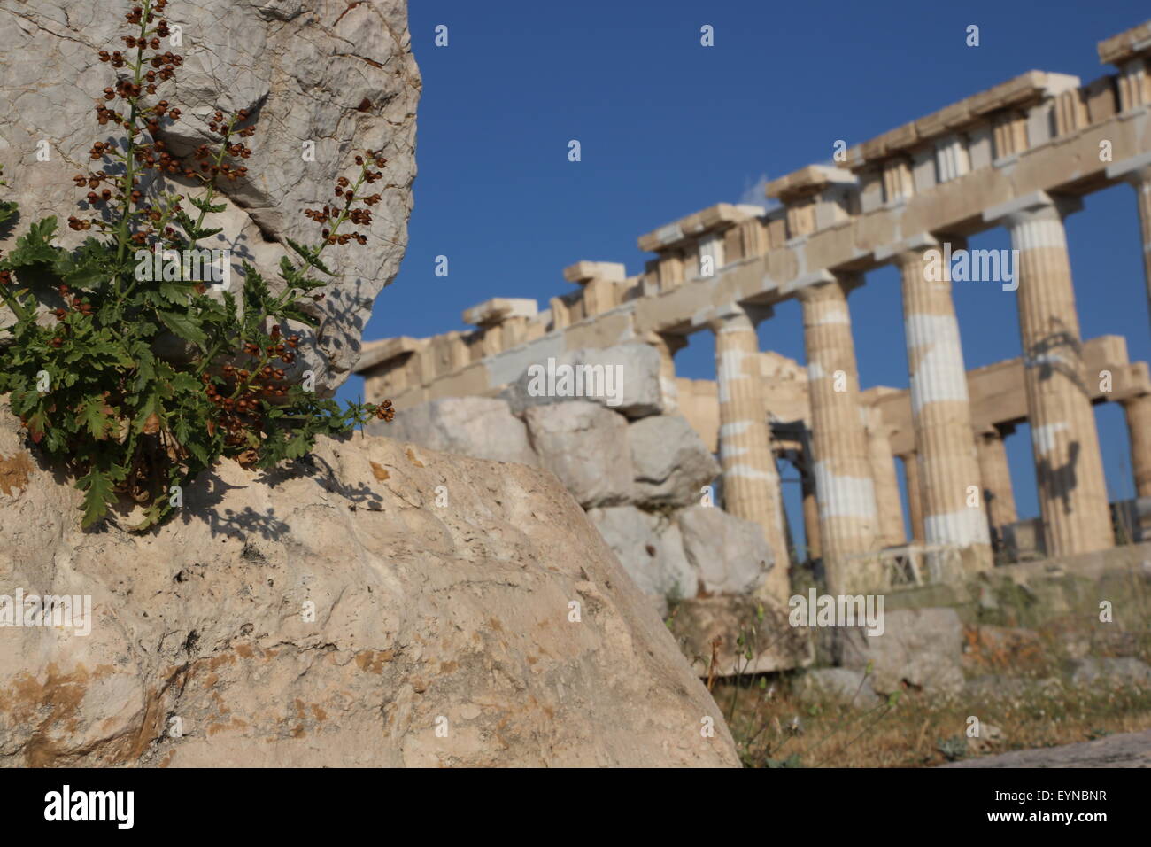 Parthenon, Acropolis monuments in Athens Greece Stock Photo - Alamy
