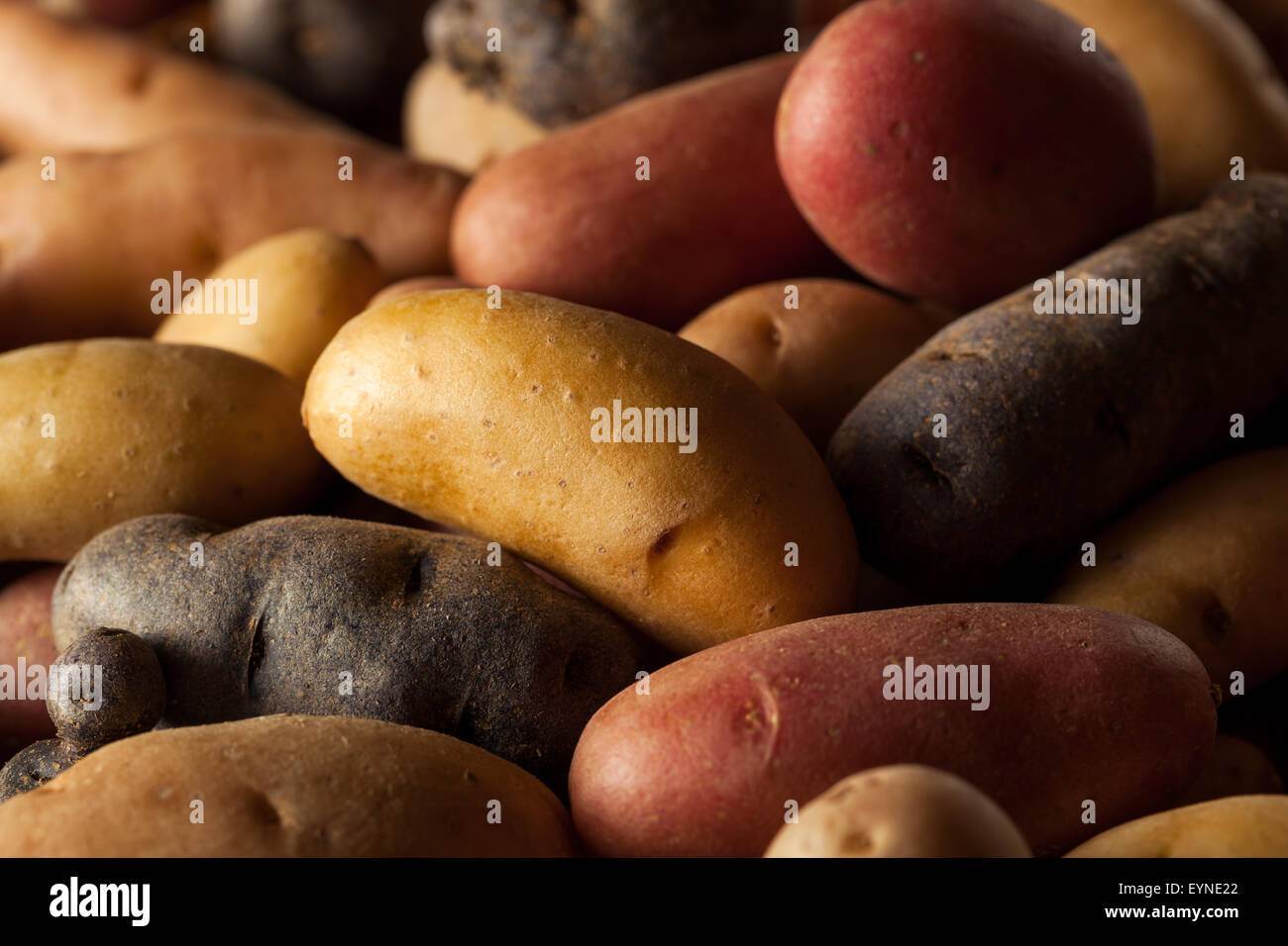 Raw Organic Fingerling Potatoes in a Basket Stock Photo - Alamy