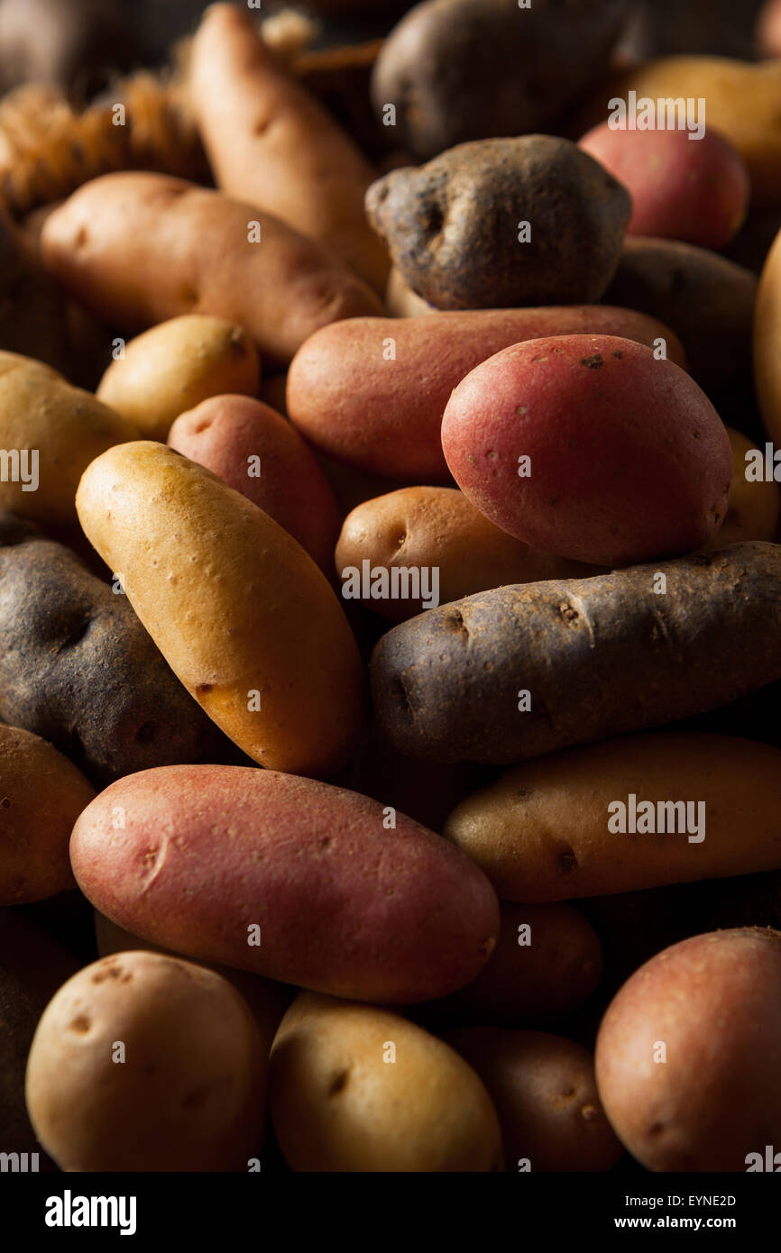 Earthy potatoes hi-res stock photography and images - Alamy