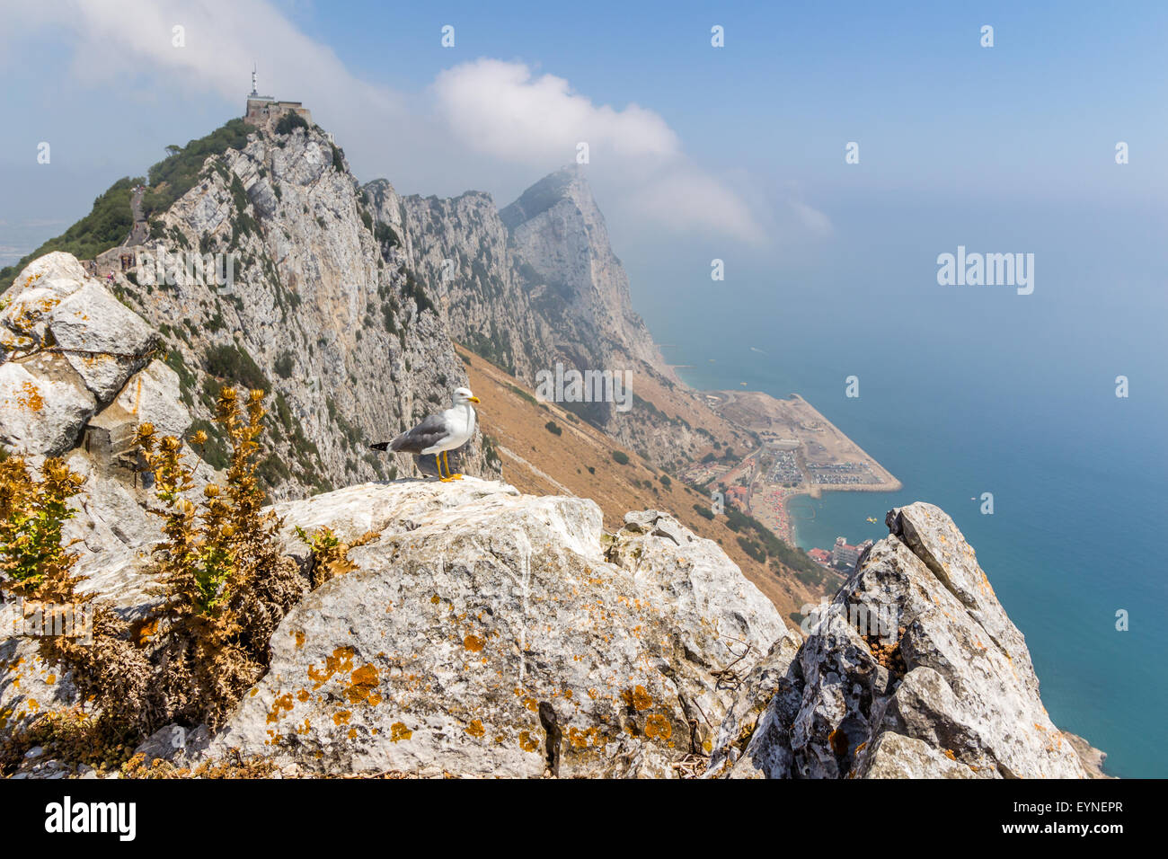 View of the sea/ocean and city of Gibraltar from the top of the rock ...