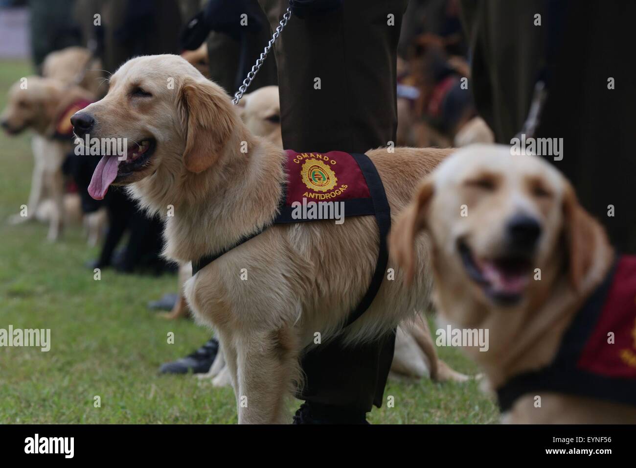 Caracas venezuela 1st aug 2015 hi-res stock photography and images - Alamy