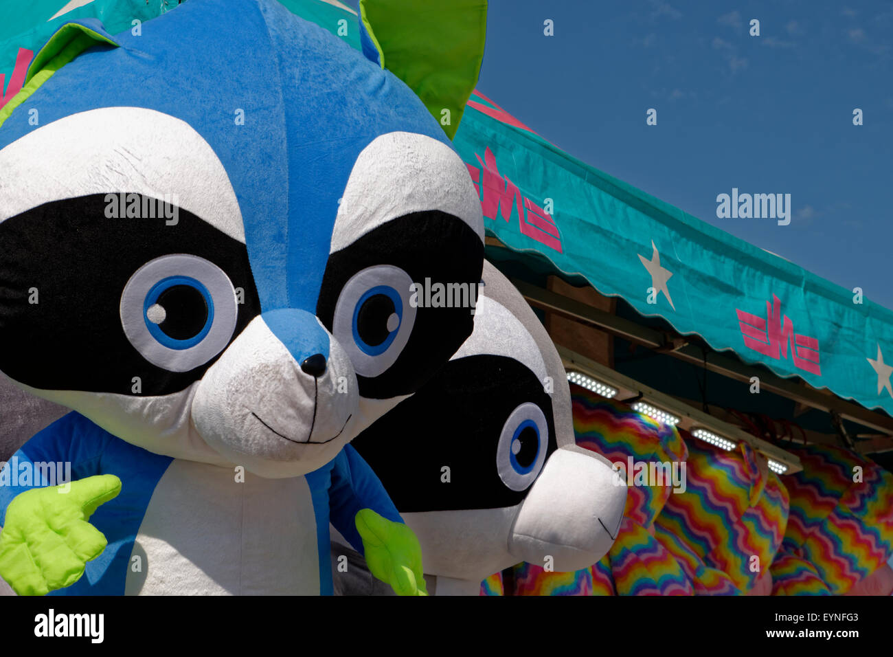Gigantic raccoon plush toy prizes on display at the Delaware State Fair ...