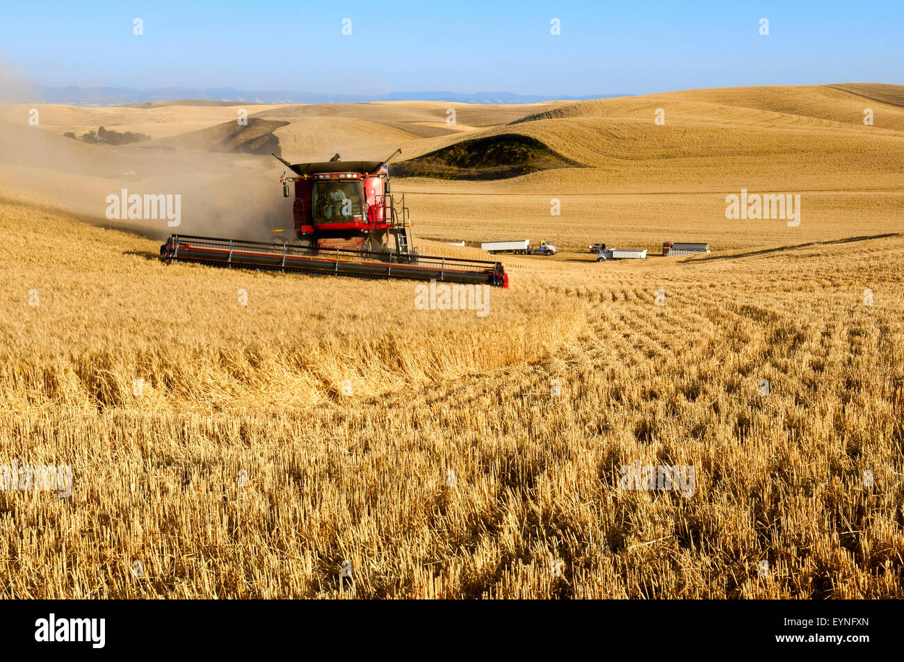 A Case combine harvests grain in the Palouse region of Washington Stock ...