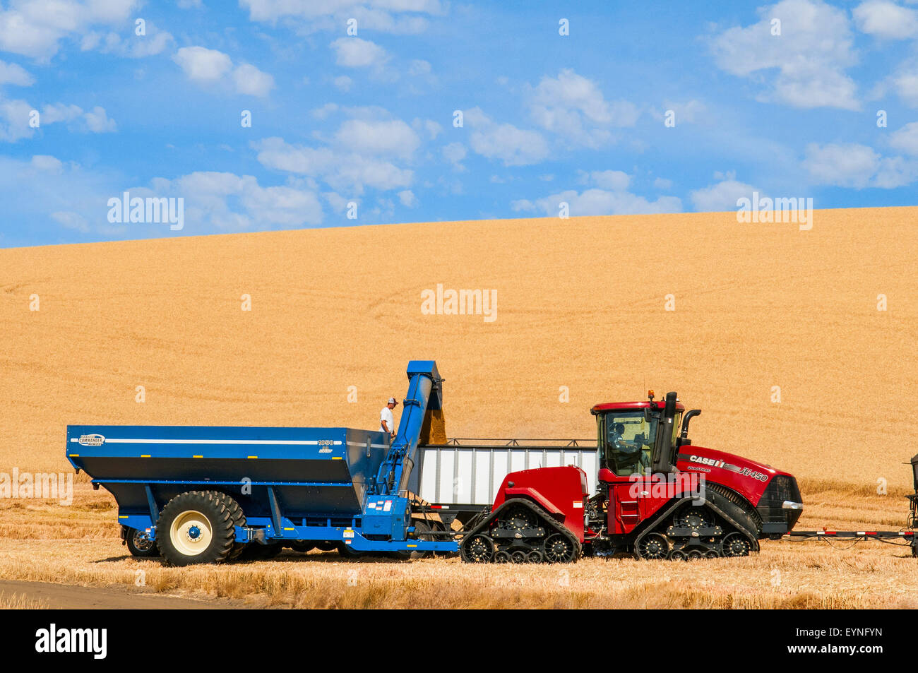 Tractor pulled grain cart unloading into a grain truck during harvest ...