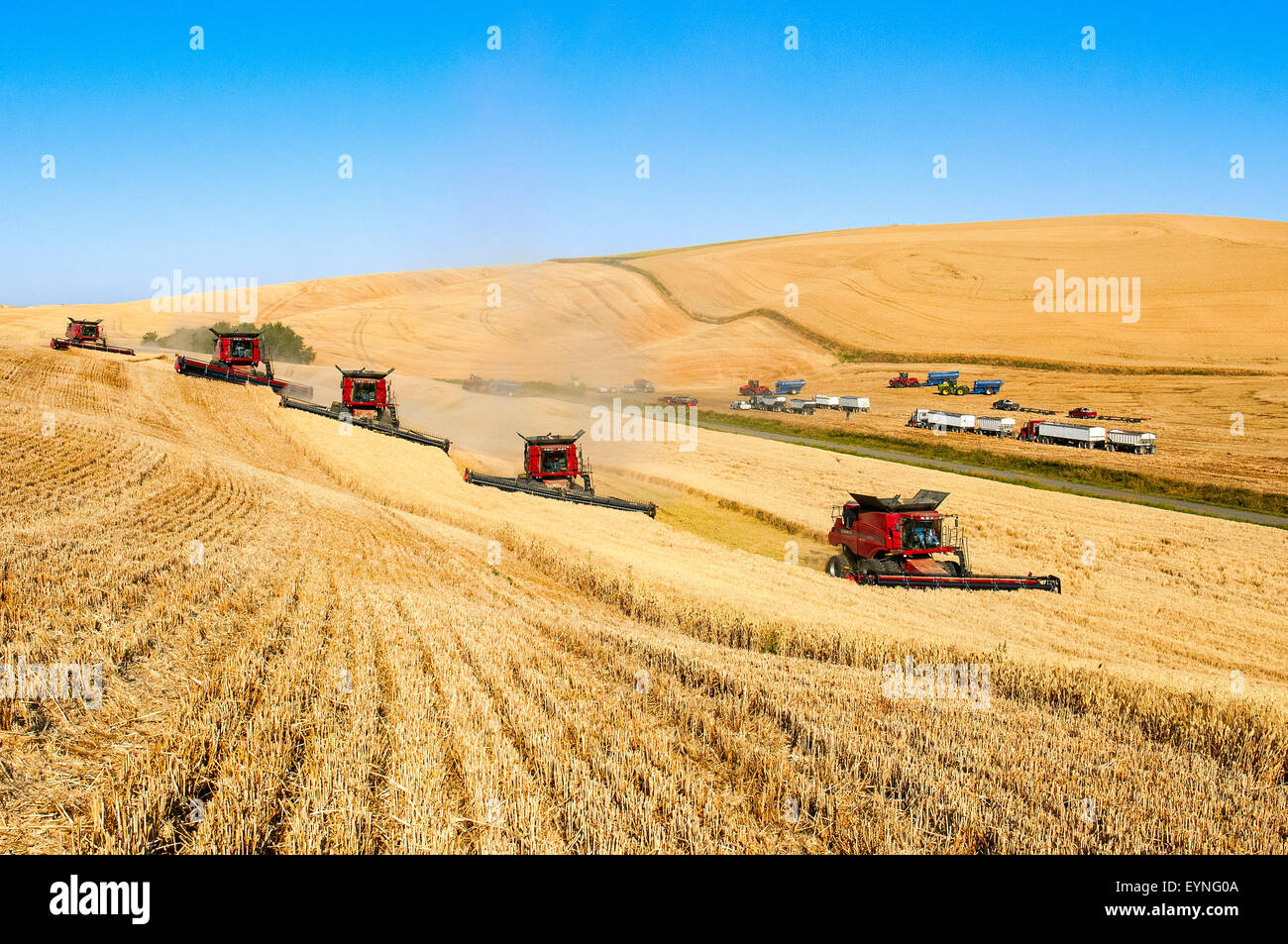 Multiple combines harvest barley in the Palouse region of Washington ...
